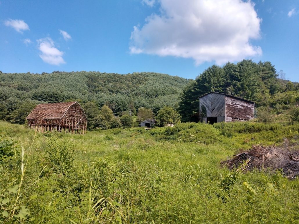 Mulberry Gap Farms - Banks Creek Surveying