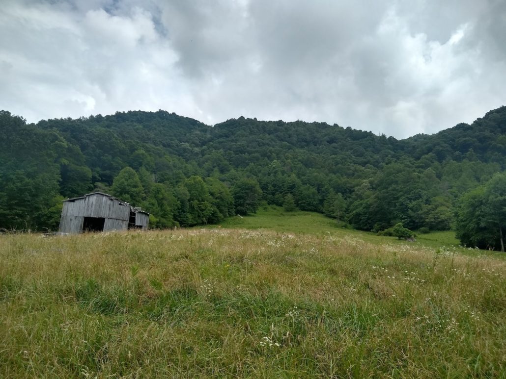 Mulberry Gap Farms - Banks Creek Surveying
